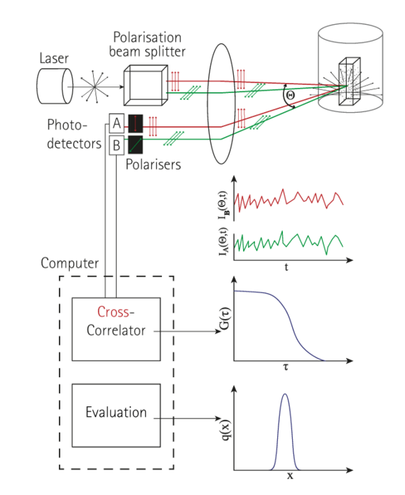 Dynamic Light Scattering
