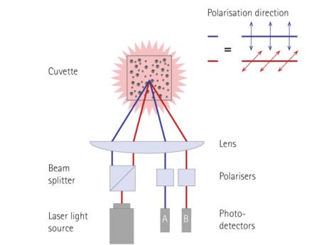 Dynamic Light Scattering