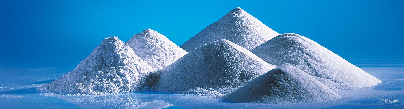 Lactose Particle Size Analysis